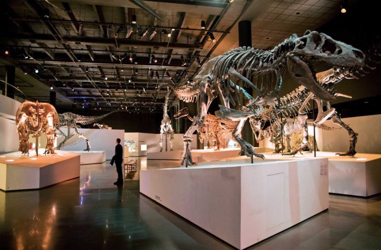 A Guide to the Houston's Top 10 Best Attractions - Guide of the World