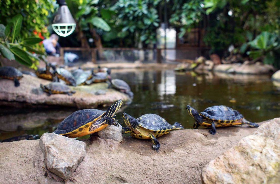 Almere Unearthed: The Dutch City of Modern Dreams - Guide of the World