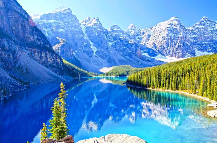 The Ultimate Calgary Experience: Urban Charm Meets Nature's Majesty ...