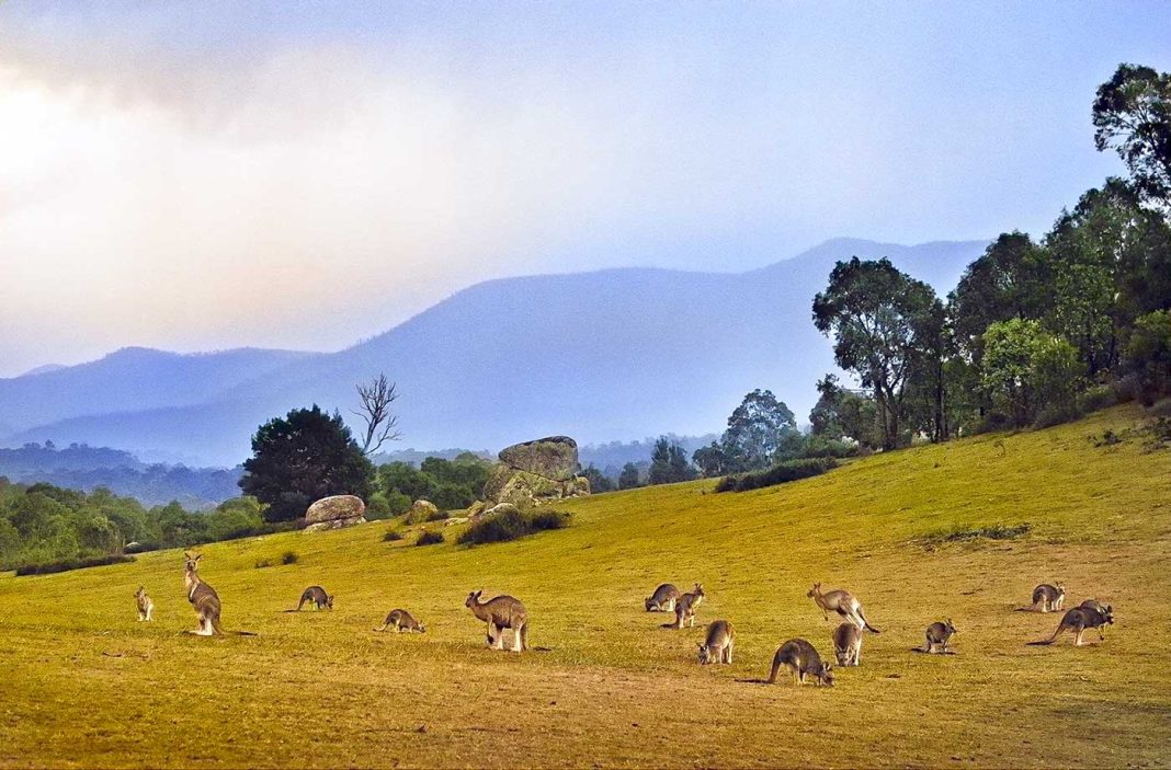 Discovering the Charm of Canberra: Australia's Hidden Gem - Guide of ...
